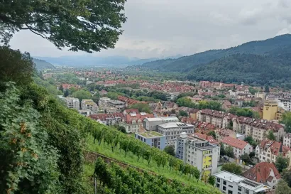 Green City | IES Abroad